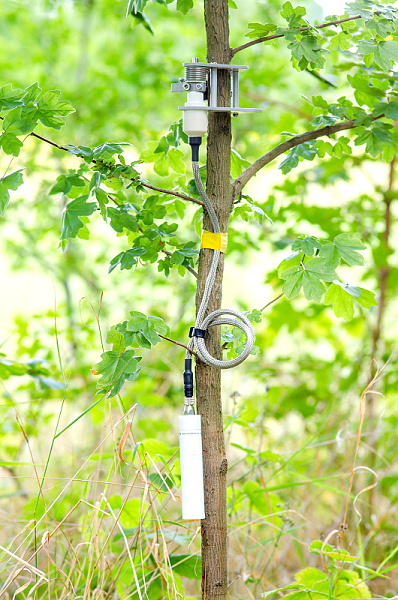 Pivot dendrometer set - EMS Brno