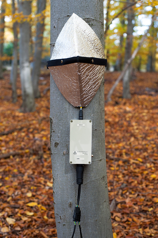 Sap flow system EMS81 SDI-12 - EMS Brno